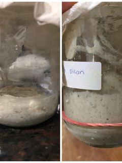 Resep Sourdough Starter / Ragi Alami oleh Isnawati - Cookpad