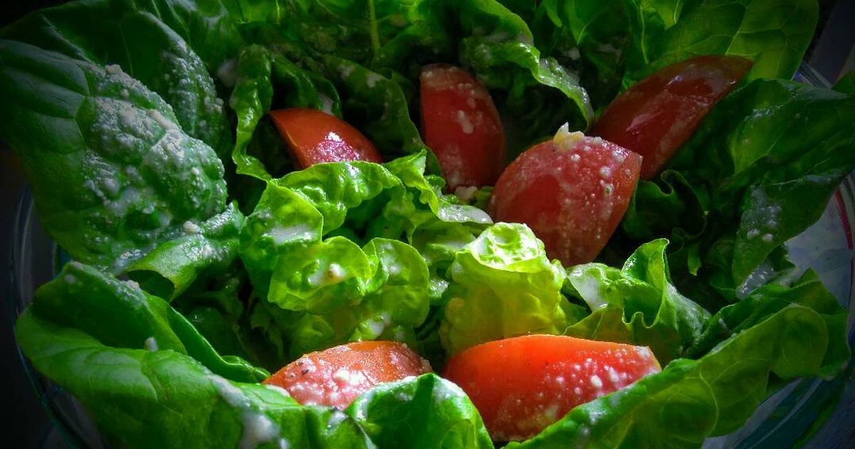 Cogollo europeo - 12 recetas caseras- Cookpad