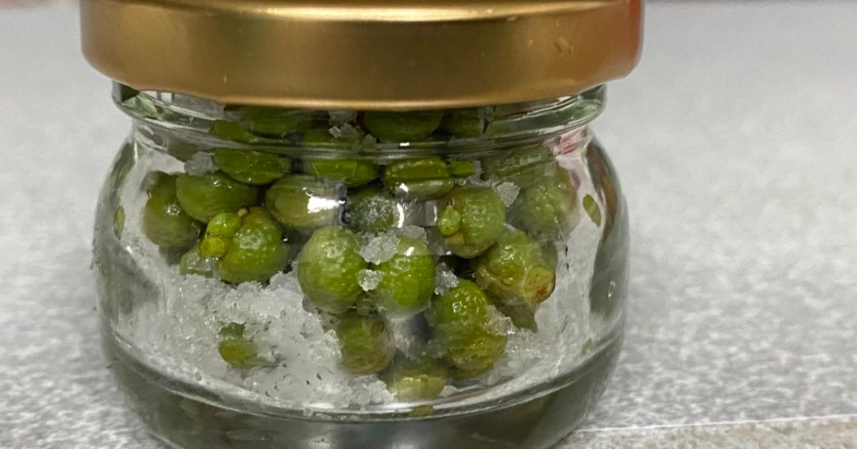 Japanese Sansho Pepper Recipe by Aunty Eiko's international cuisine ...
