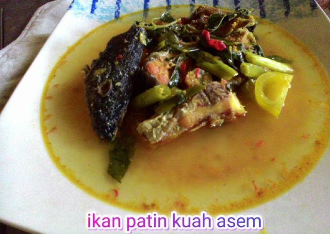 Resep IKAN PATIN KUAH ASEM SEGAR oleh indah - Cookpad