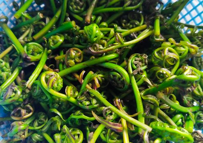 Resipi Midin Garlic oleh Lamin Hana - Cookpad