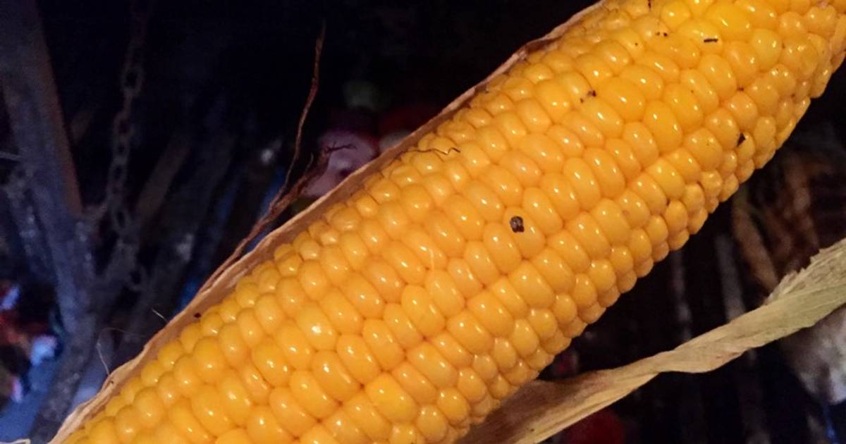 Choclo asado - 290 recetas caseras- Cookpad