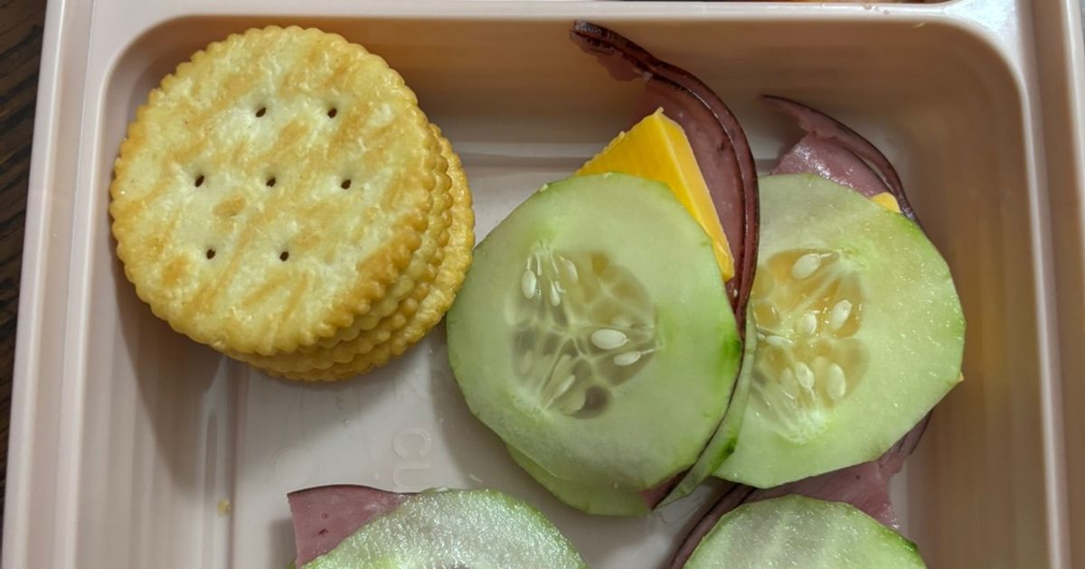 Bento Box Roast Beef And Cheese Cucumber Sandwiches Recipe by snackle time