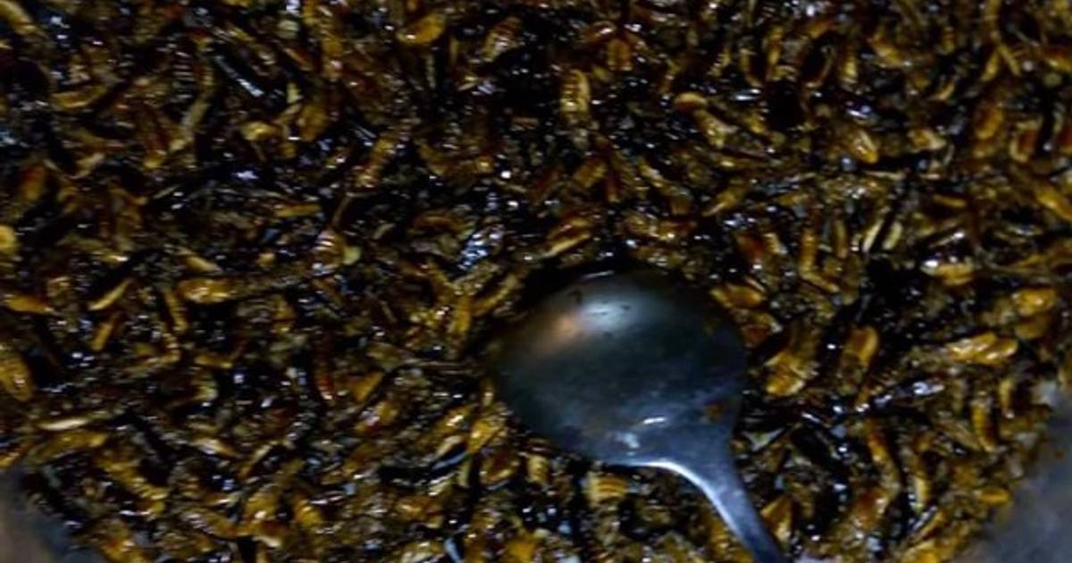 Roasted Termites/ Kumbekumbe Recipe by Owino Silvester - Cookpad