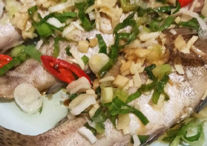 Resep Steam Ikan Kerapu oleh Rahmi Astuti - Cookpad