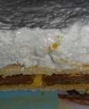 63 egyszerű és finom napolyi recept - Cookpad receptek