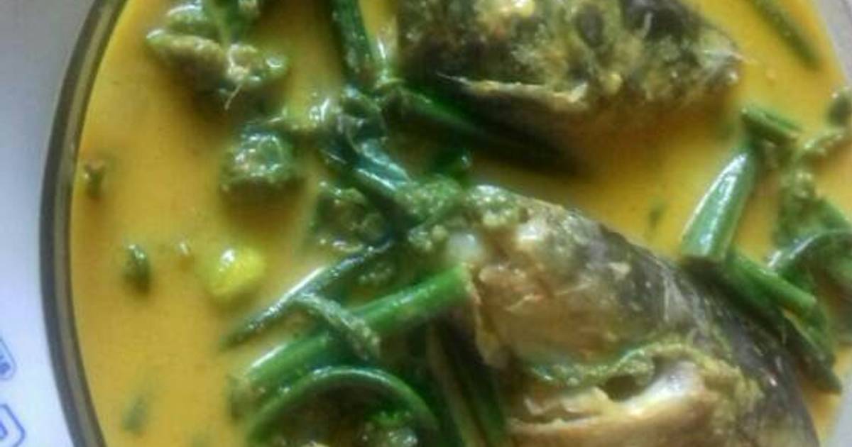 28 resep pakis terong pipit enak dan mudah - Cookpad