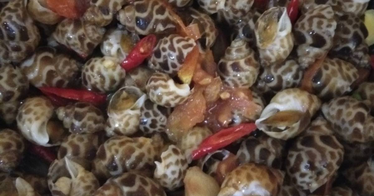 37 resep siput saos enak dan mudah - Cookpad