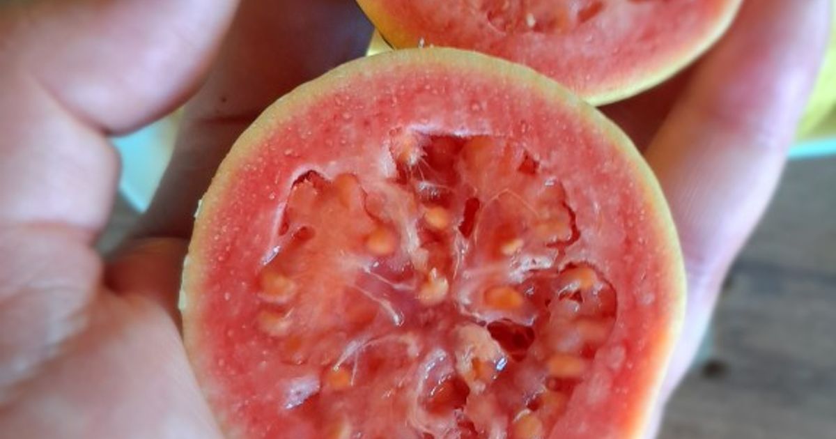 Sorprendentes recetas con mermelada de arrayán: ¡Dulzura única!