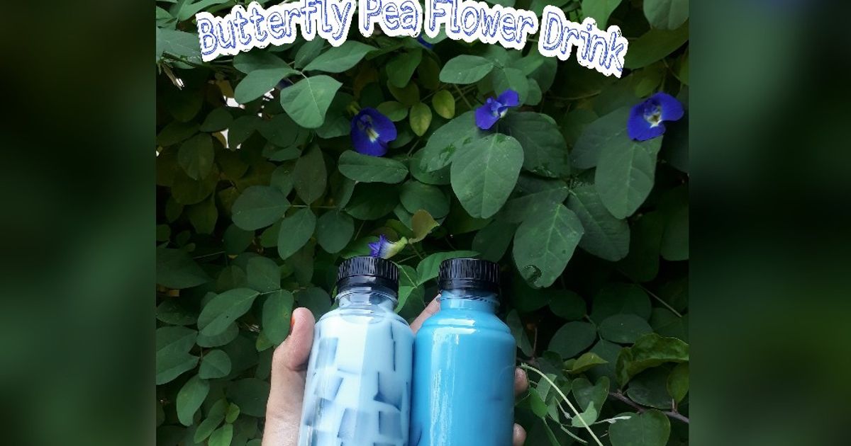 Resep Butterfly Pea Flower (Es Bunga Telang) oleh Indah Purnama - Cookpad