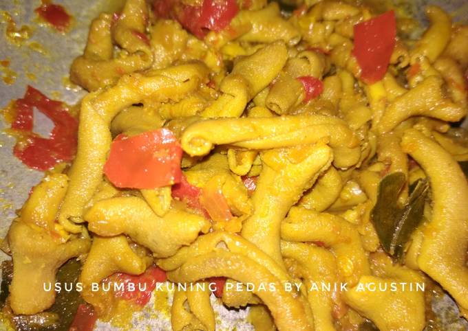 Resep Usus Bumbu Kuning Pedas oleh Anik Agustin - Cookpad