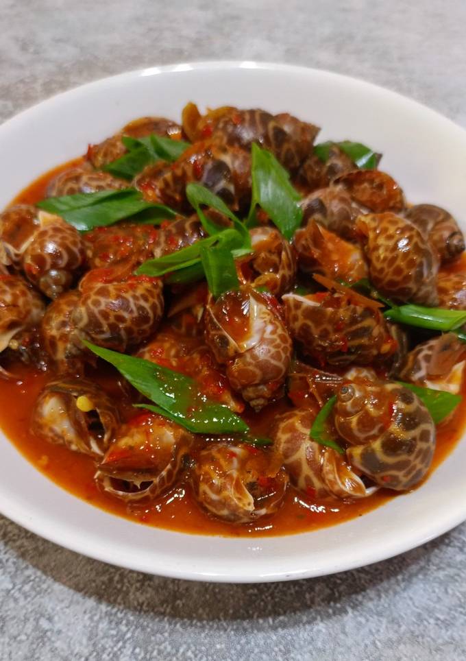 Resep Keong macan masak saos padang oleh tommy wiriadi putra - Cookpad