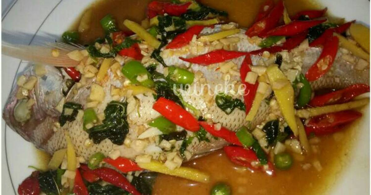 Resep Steam Kakap merah oleh Wineke Asmeral - Cookpad