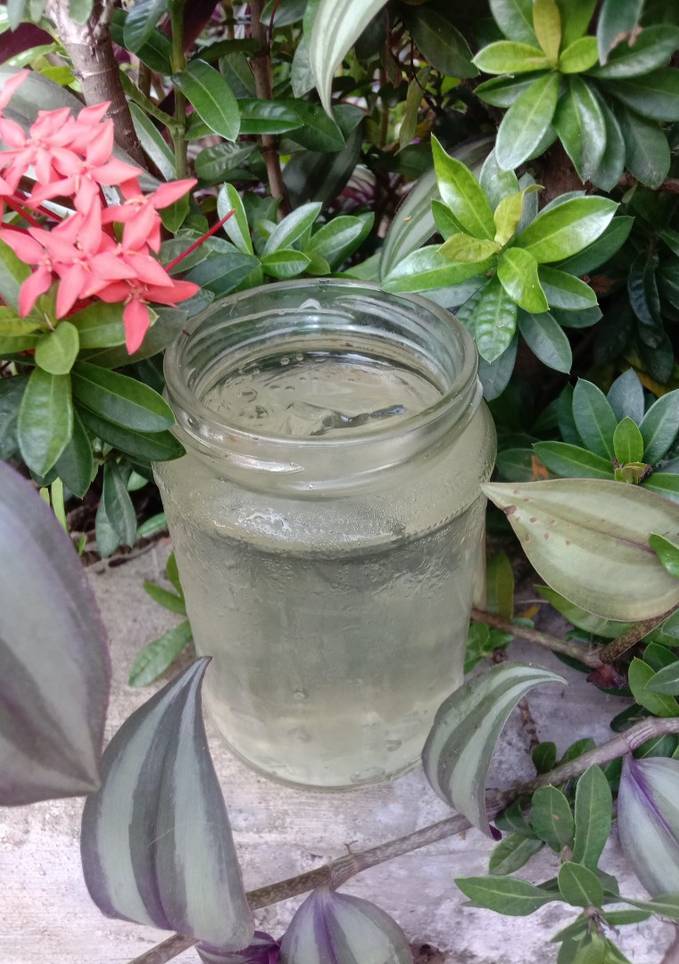 Resep Magic water oleh Siti Ramlah - Cookpad