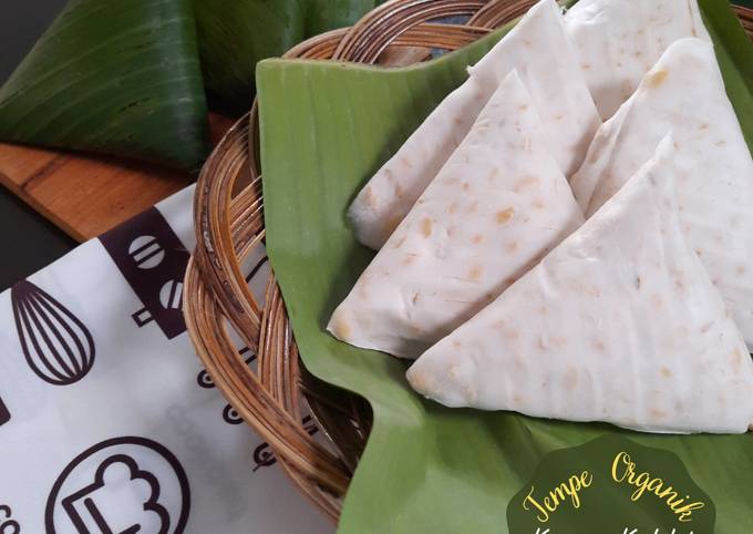 Resep 73. Tempe Organik Kacang Kedelai Homemade oleh Dapur🥘Kebun Tanpa ...