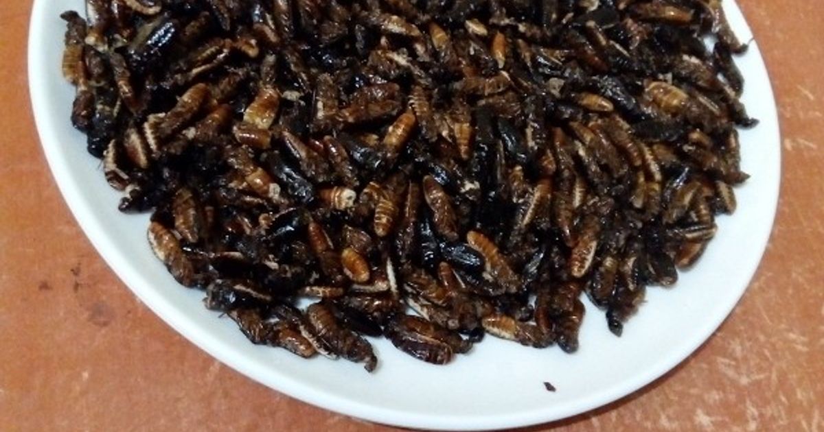 Fried Termites Recipe by Paula Netta - Cookpad