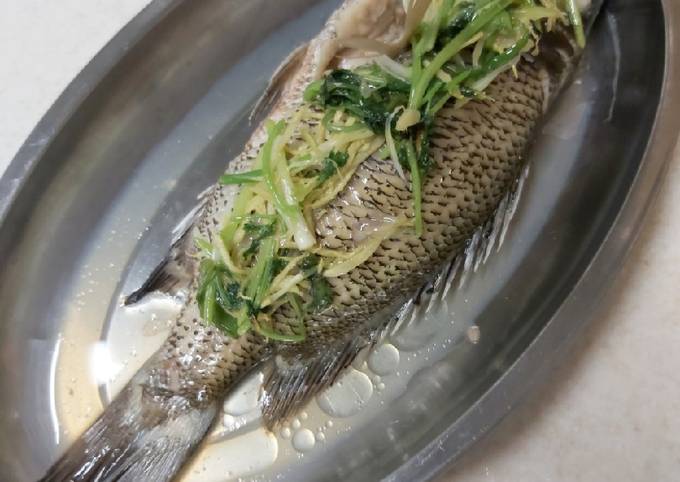 Resep 💢 Steam Ikan (Chinese Style)💢 oleh Atik Efendy - Cookpad