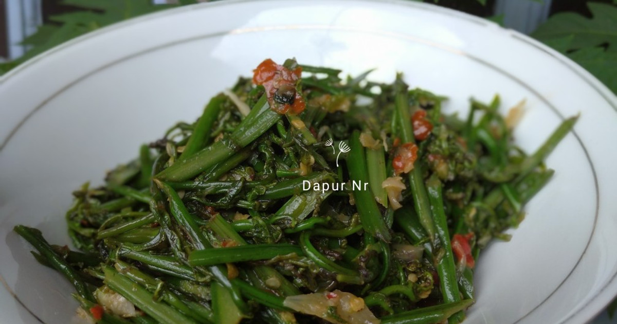 Resep Tumis Pakis Paku oleh Nimas Ririn - Cookpad