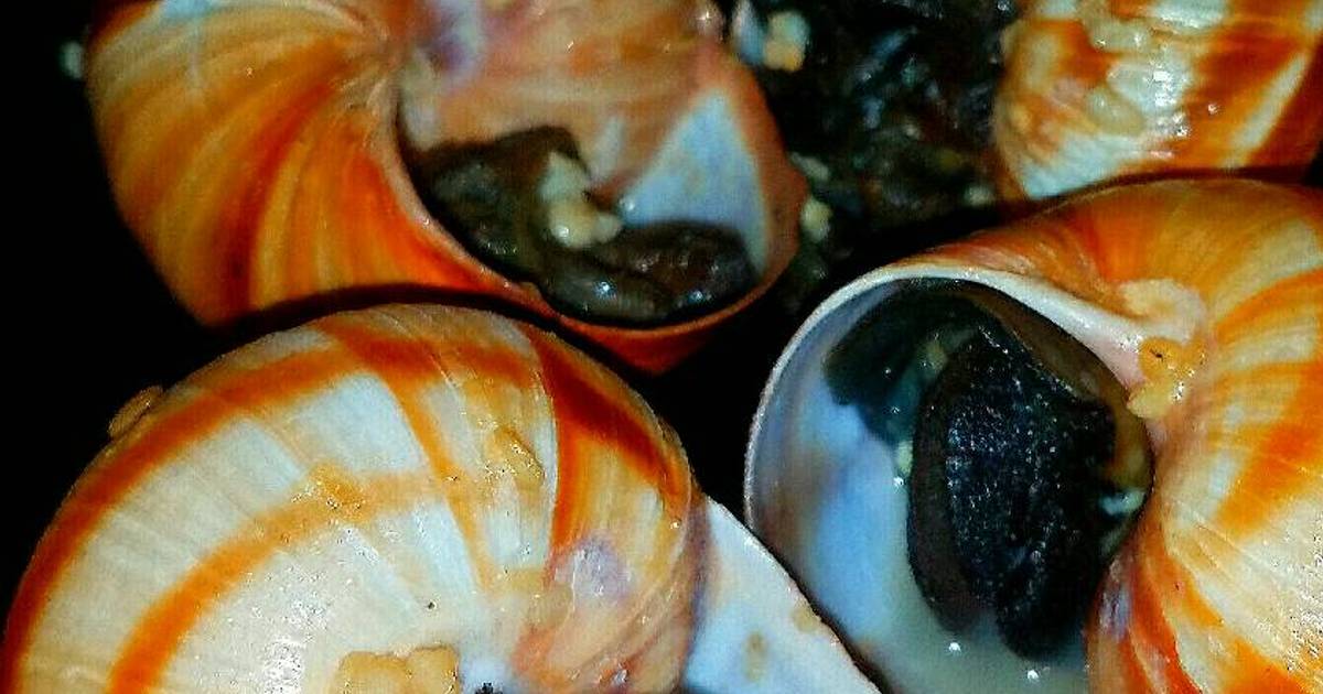 Snail sauce recipes: easy & tasty ideas for home cooks - Cookpad