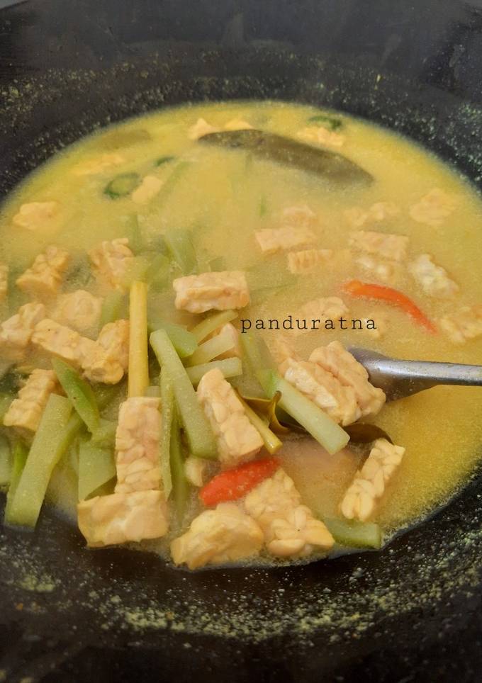 Resep Sayur Santan Labu Siam Tempe oleh Pandu Ratna Juwita - Cookpad