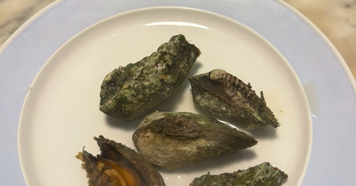 Ricetta I Mussoli (Muscoli) di Paolobertoncin - Cookpad