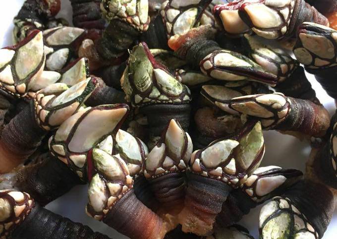 Percebes cocidos Receta de Chicas Com2be- Cookpad