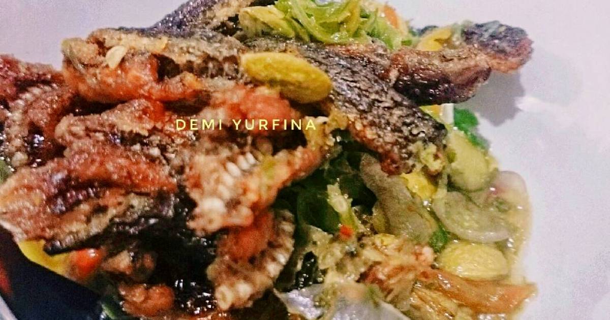 9 resep belut lado hijau padang enak dan sederhana - Cookpad