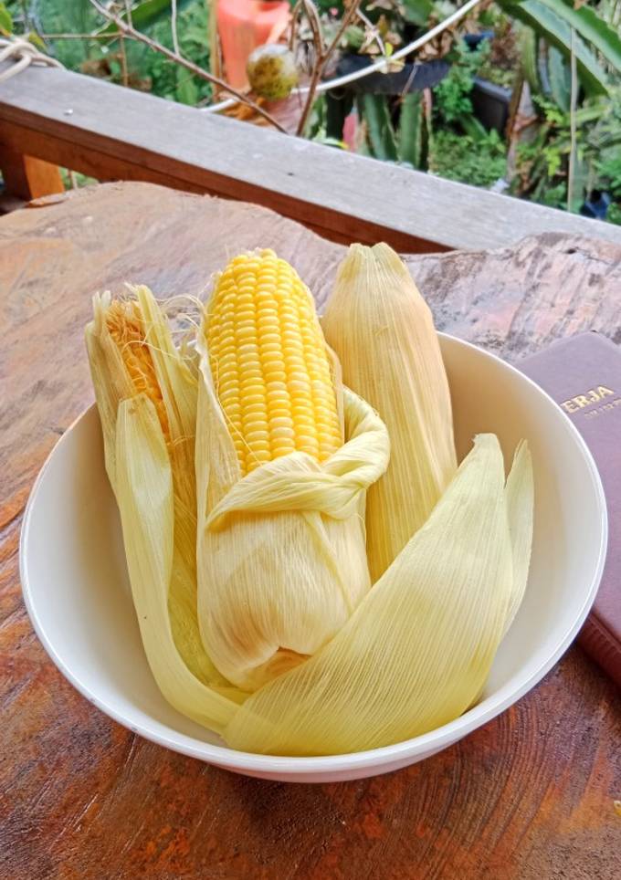 Resep Jagung Rebus oleh KasMira - Cookpad