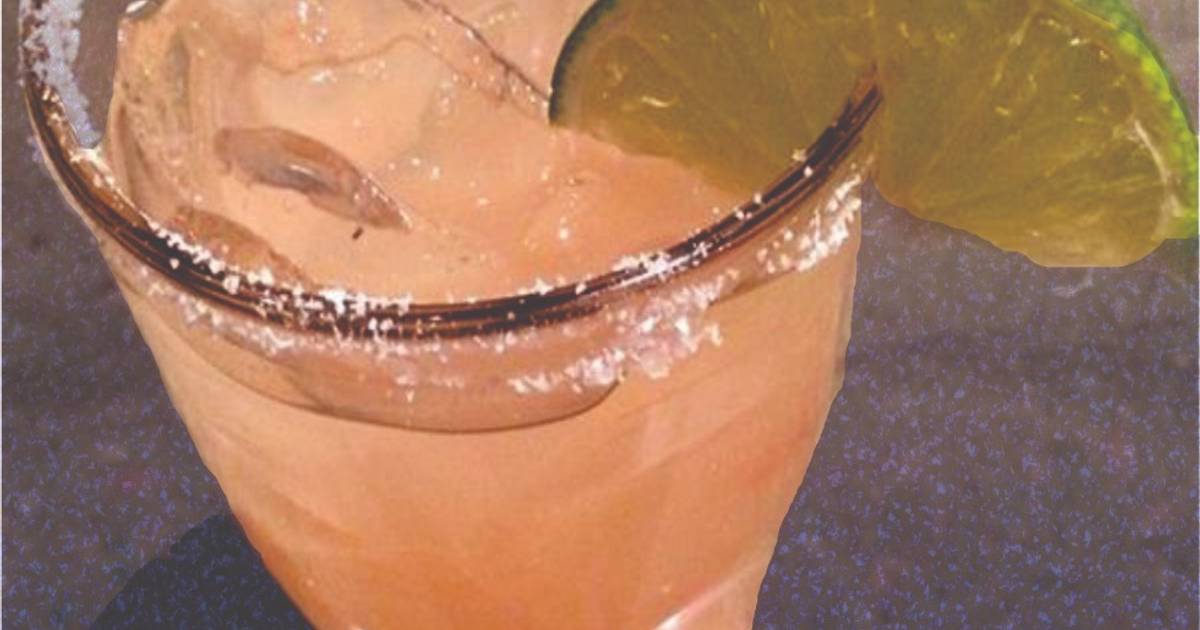 Perro salado - 3 recetas caseras- Cookpad