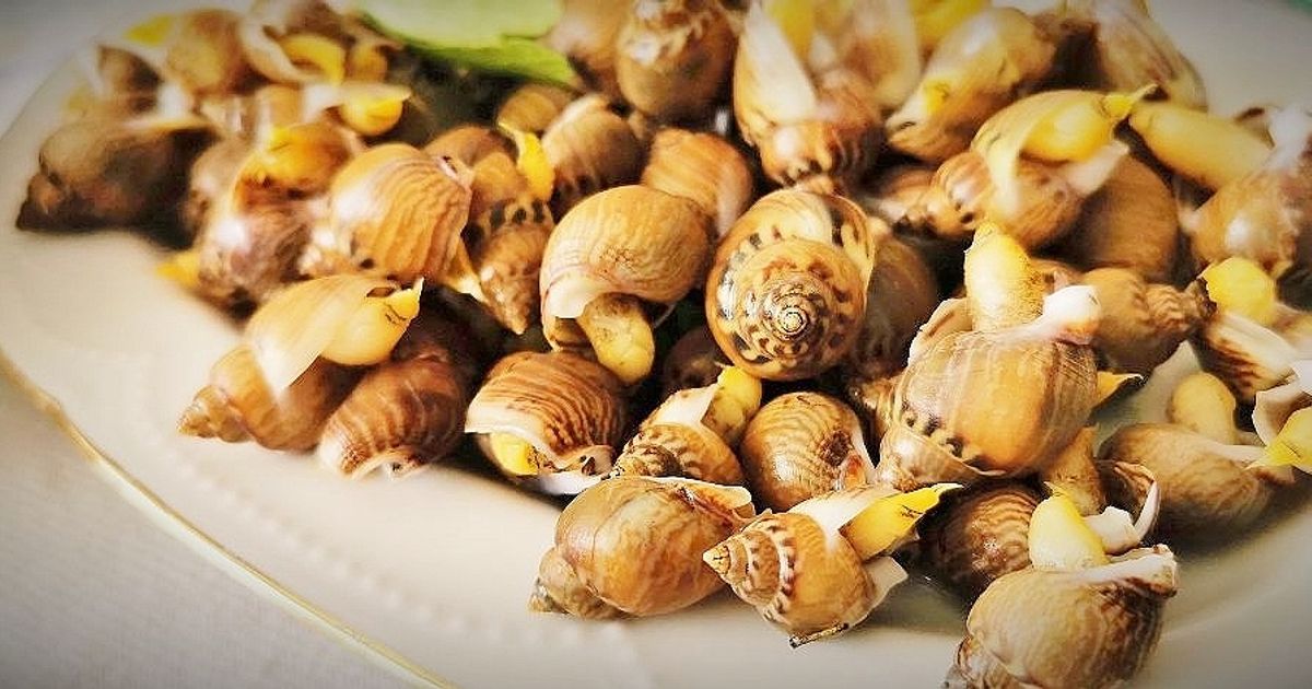 Caracolillos De Mar Receta de josevillalta
