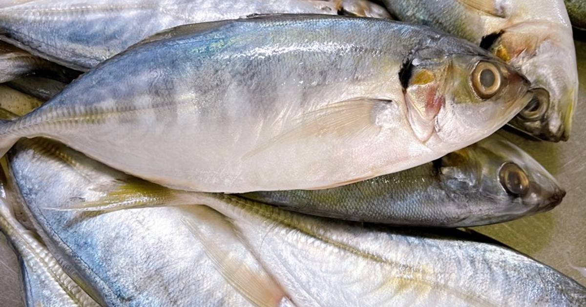 Resipi 👩‍🍳Ikan Selar- Cara Siang ️🔪🐟 oleh Mahadiah - Cookpad