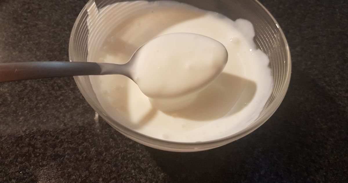 yogurt casero y leche en polvo - 144 recetas caseras- Cookpad