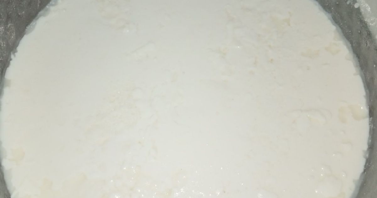 Homemade Dahi Recipe by Asma Faryal Khan - Cookpad