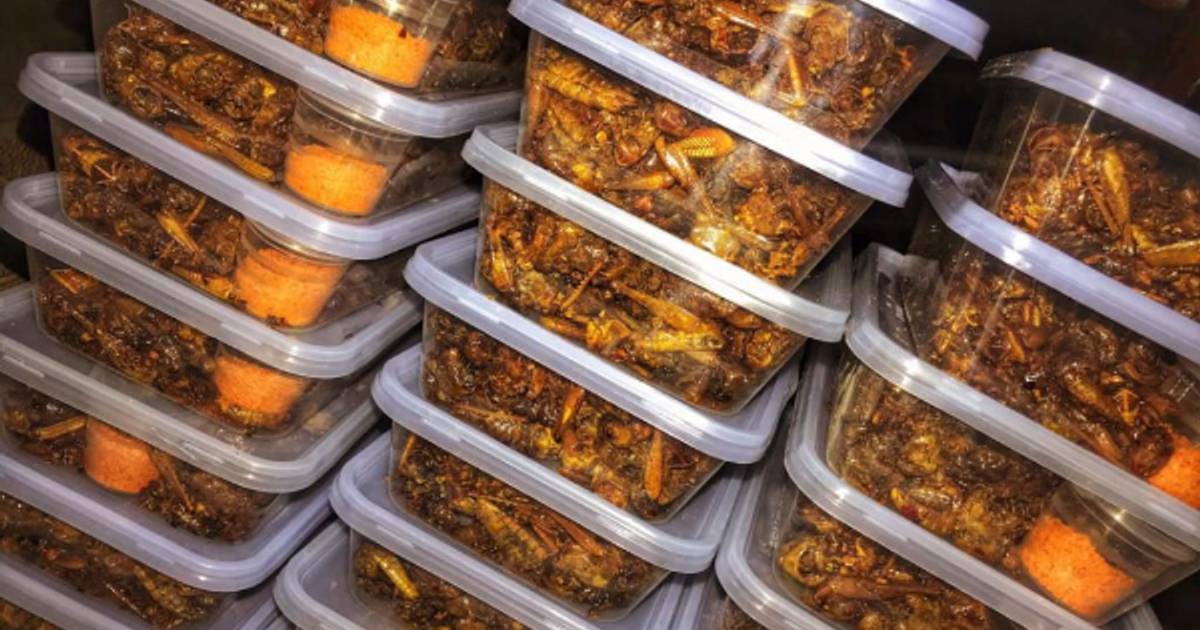 Crunchy fara Recipe by Ayshert Zauro Delicacies - Cookpad