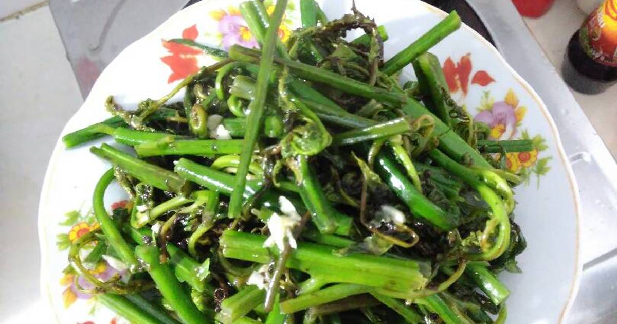 16 món rau dớn ngon miệng dễ làm từ các đầu bếp tại gia - Cookpad
