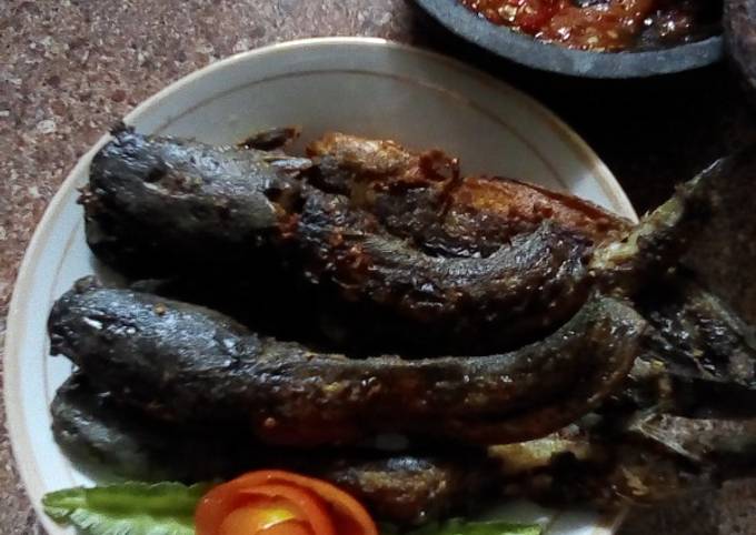 Resep Lele goreng sambal penyet ala Abang jualan oleh Nia Mamanora ...