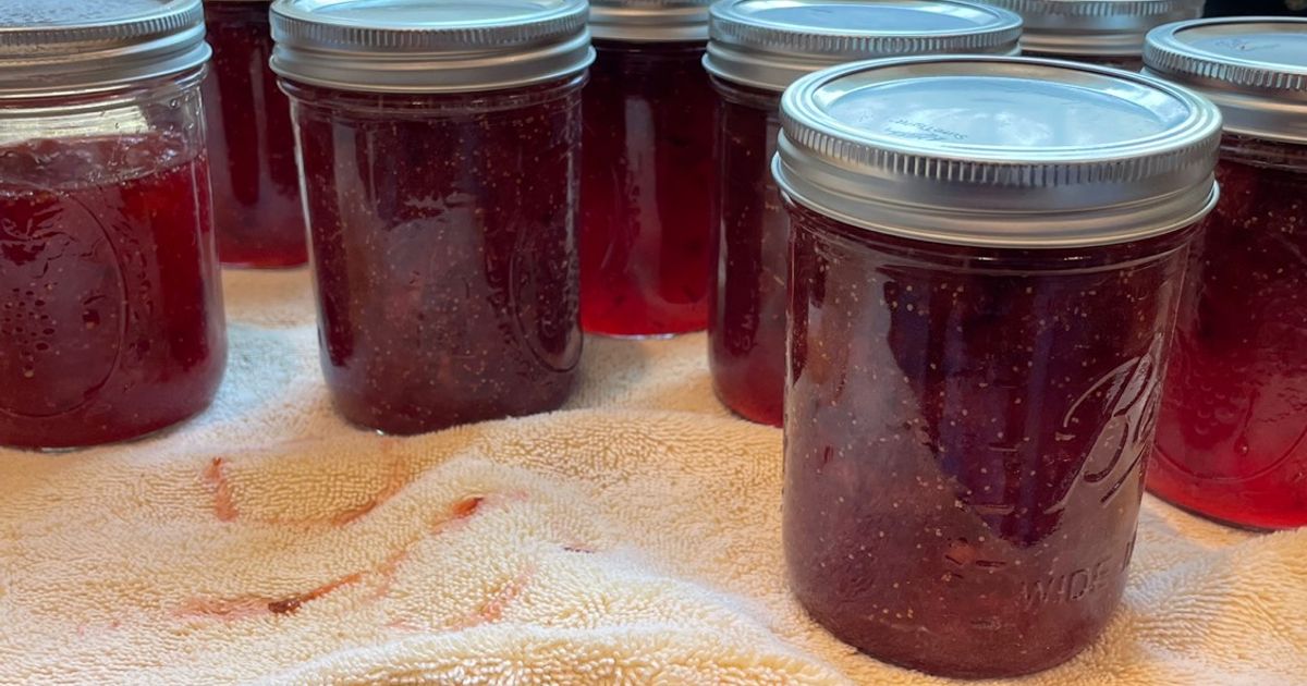 Fig Jam Recipe By Sherry Randall: The Leftover Chronicles