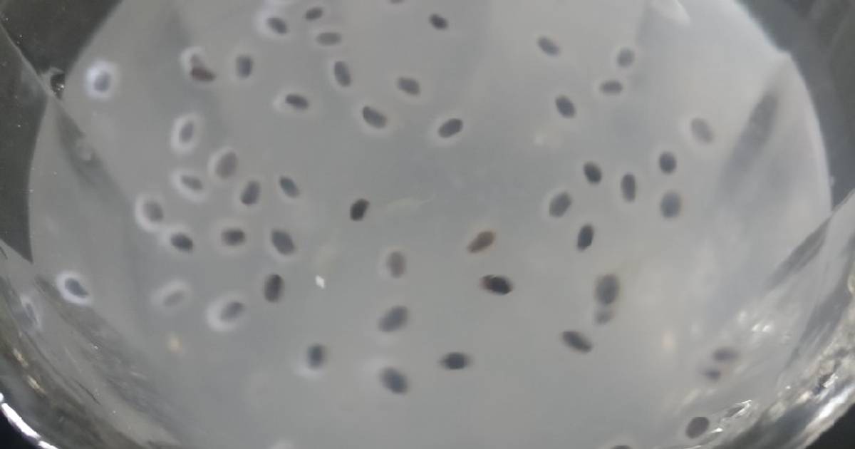 Lemonade with sabja or sweet basil seeds Recipe by Supriya Shenoy - Cookpad