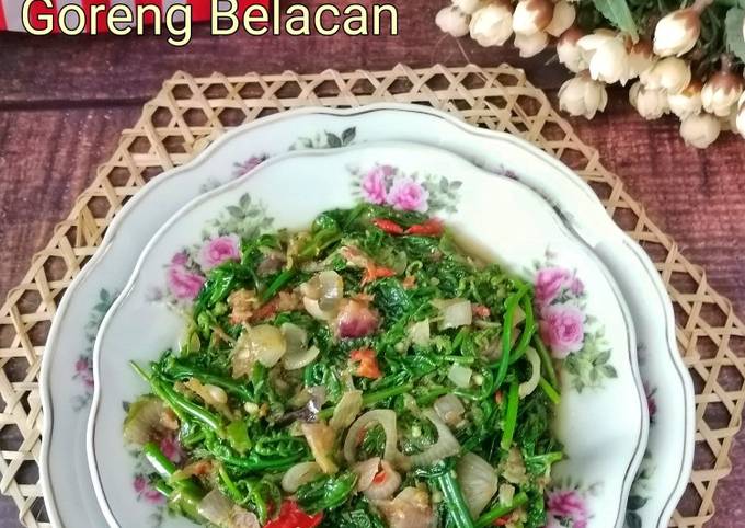 Resipi Sayur Midin (Pucuk Paku) Goreng Belacan - Serawak Bumi Kenyalang ...