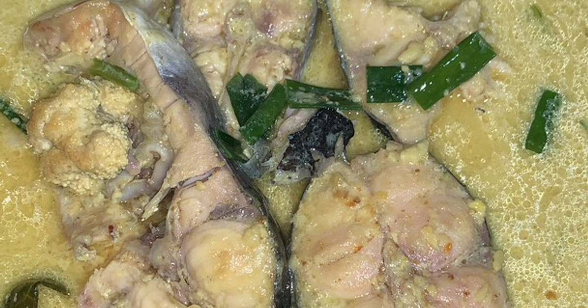 Resep Patin Santan Simpel oleh Elavionasti - Cookpad