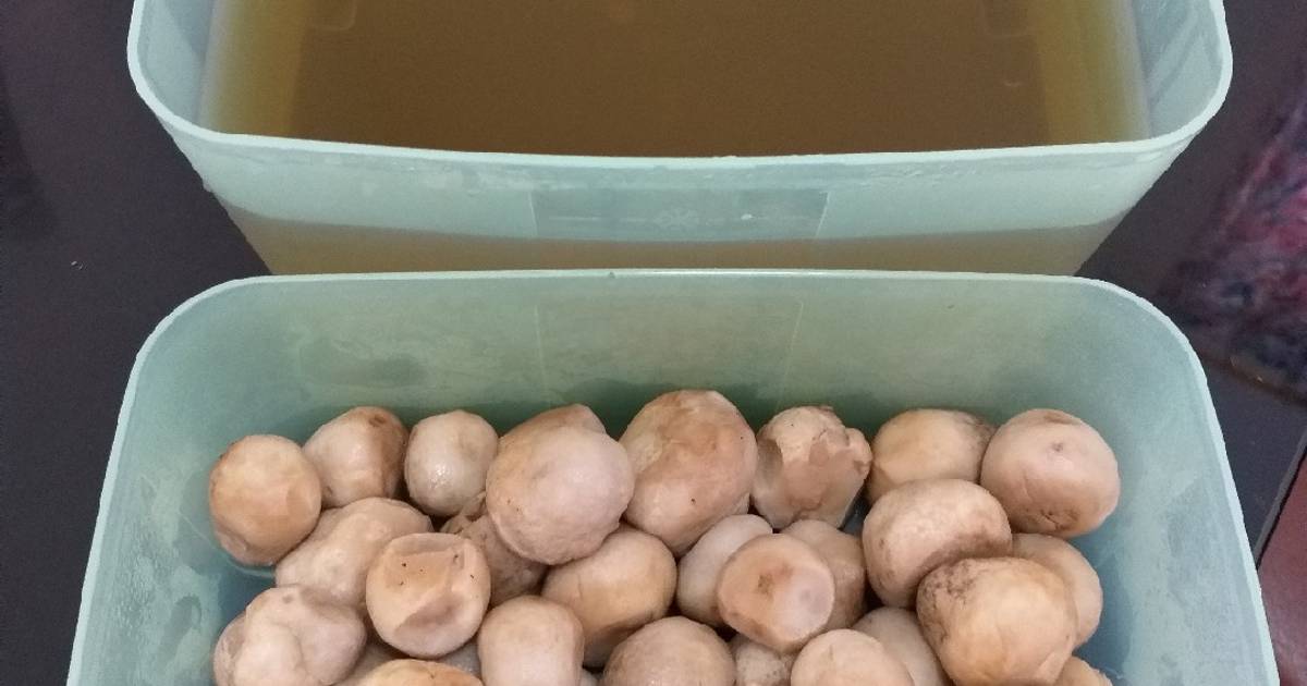 Resep Air Kaldu jamur / tips agar jamur lebih awet disimpan oleh Ka ...