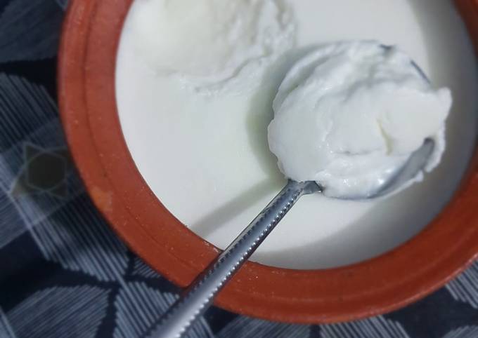 Homemade dahi... homemade lassi Recipe by Haleema AbdulQadir - Cookpad