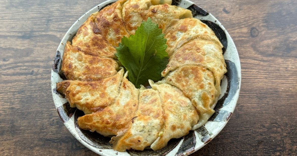 Halal Japanese Gyoza For My Friend Recipe by Aunty Eiko's international cuisine experience - Cookpad