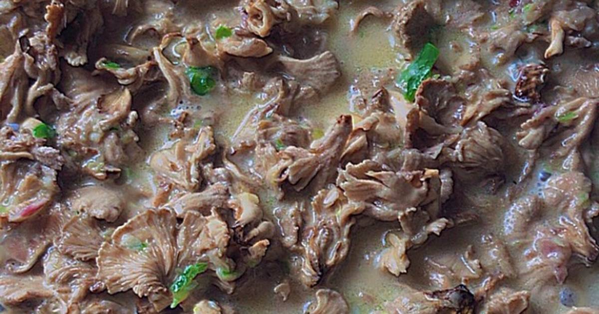 Resepi cendawan kukur pilihan: Dari masak lemak hingga ke tumis pedas