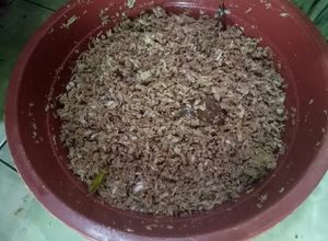 Resep megono khas Pekalongan gurih menggoda