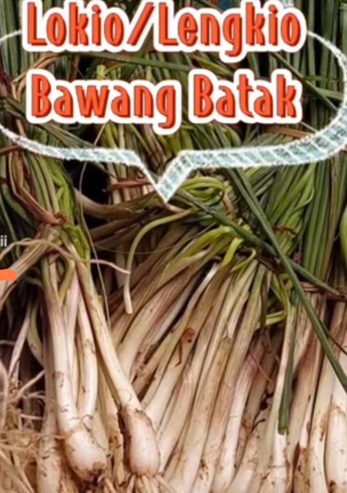 Resep Tips menyimpan Lokio/lengkio/bawang batak tahan lama oleh ...