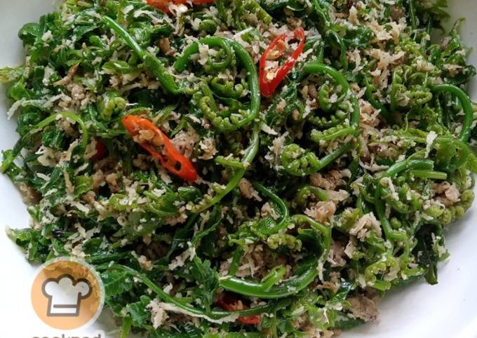 Resipi Kerabu Pucuk Paku oleh Nor Al Fatihah - Cookpad