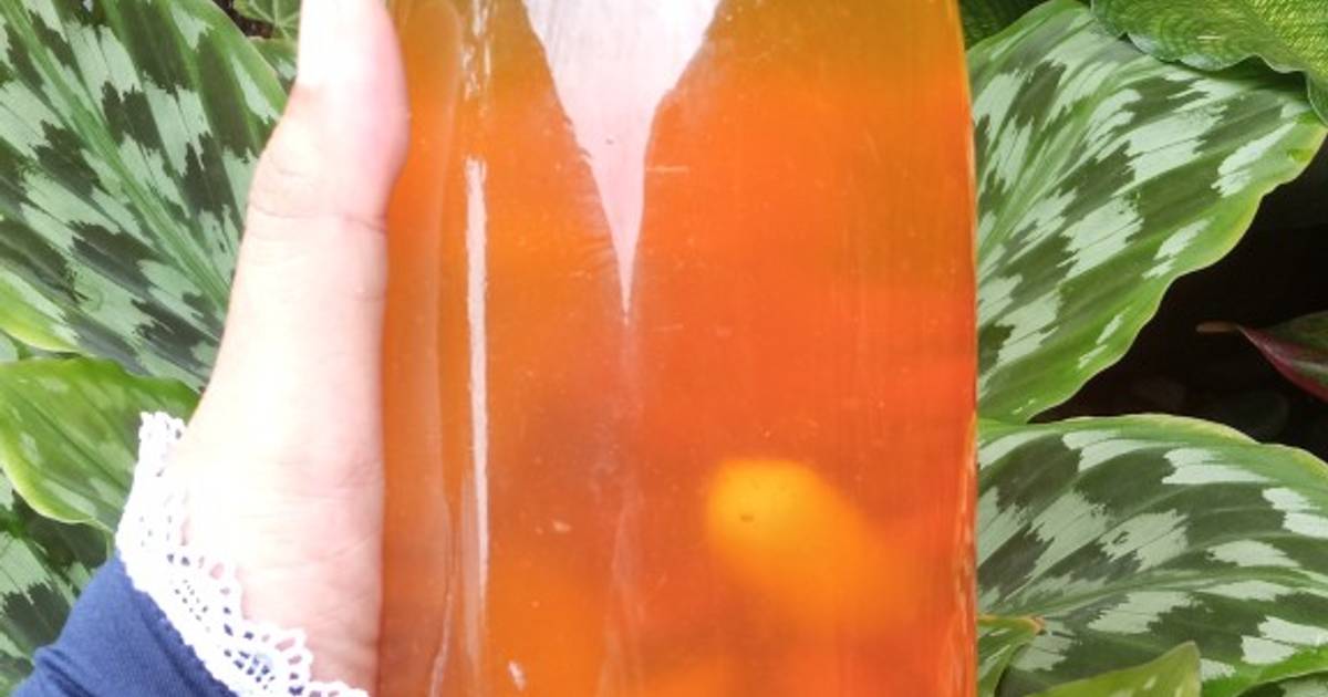 Resep Teh Goji Berry oleh dini gustina - Cookpad