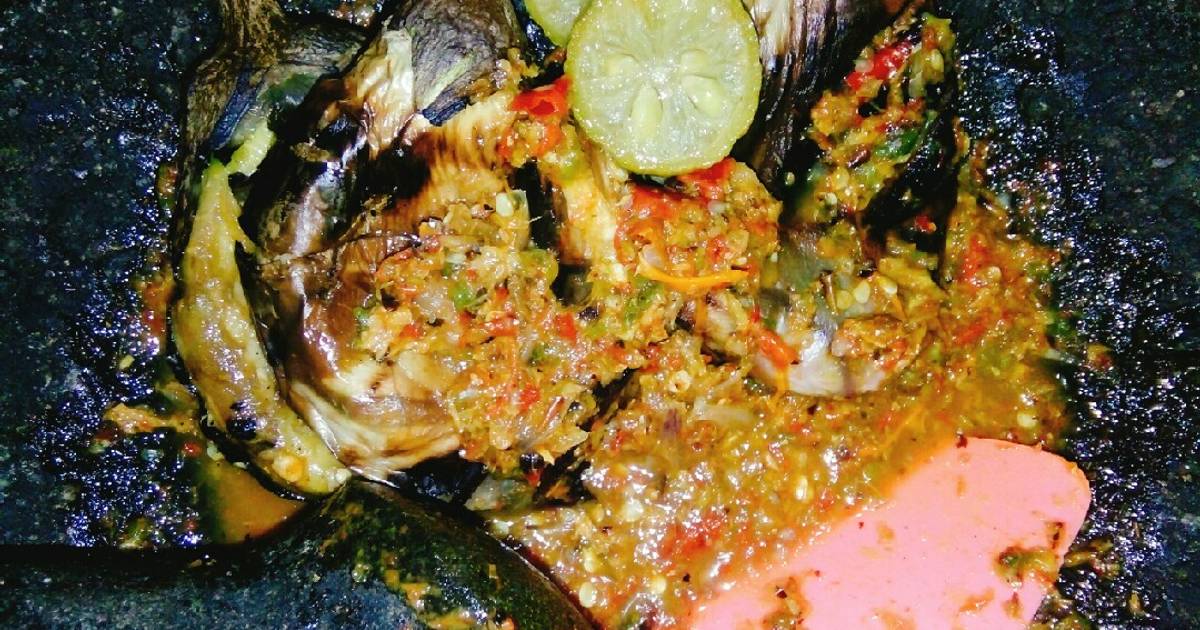 23.054 resep terong enak dan sederhana - Cookpad