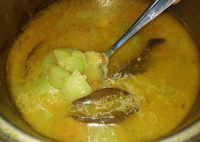 Resep Sayur jepang (labu siam) Bumbu Bali oleh Anasita Dewi 👩🏻‍🍳 - Cookpad